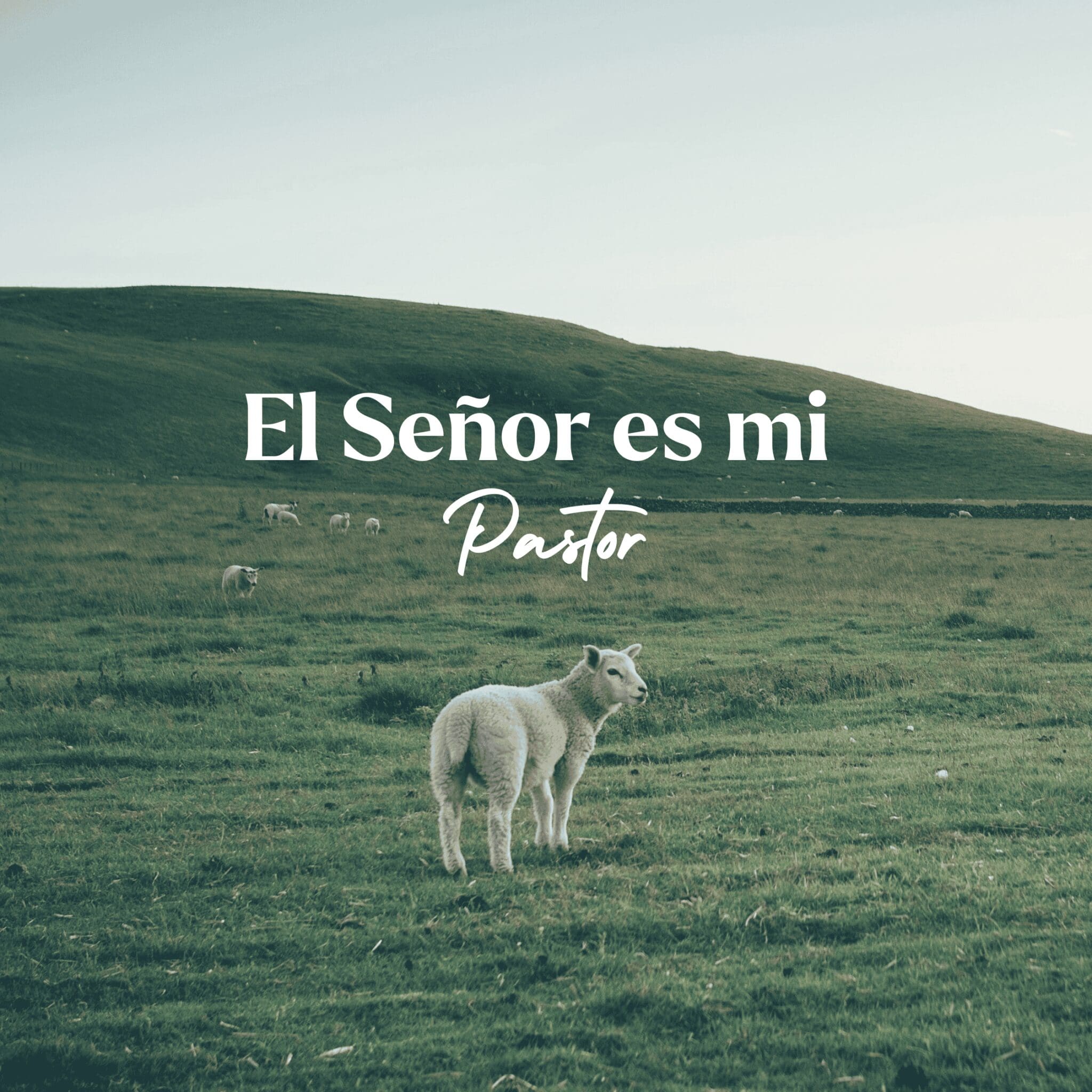 Él me ama, Parte 1 - Abre la Biblia