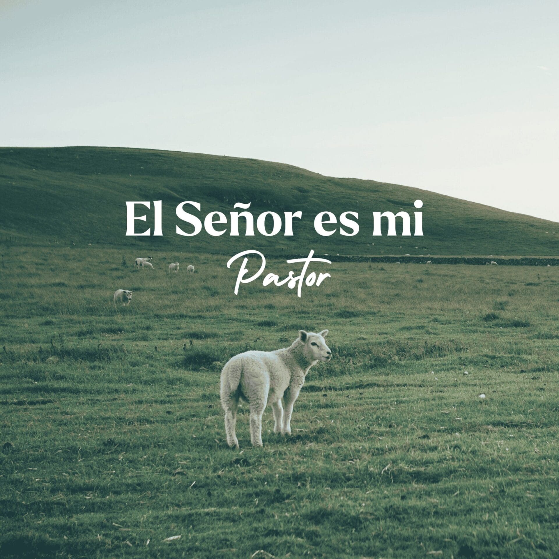 Él me ama, Parte 1 - Abre la Biblia