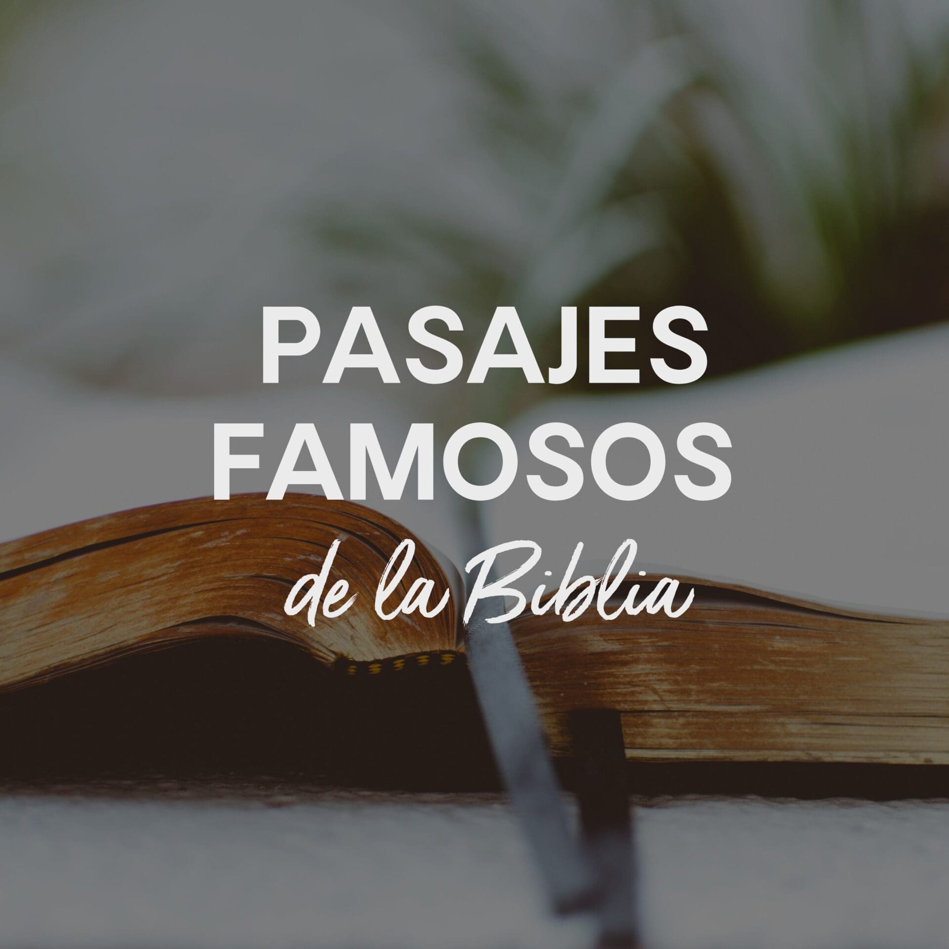 25 oraciones poderosas de la Biblia - Abre la Biblia