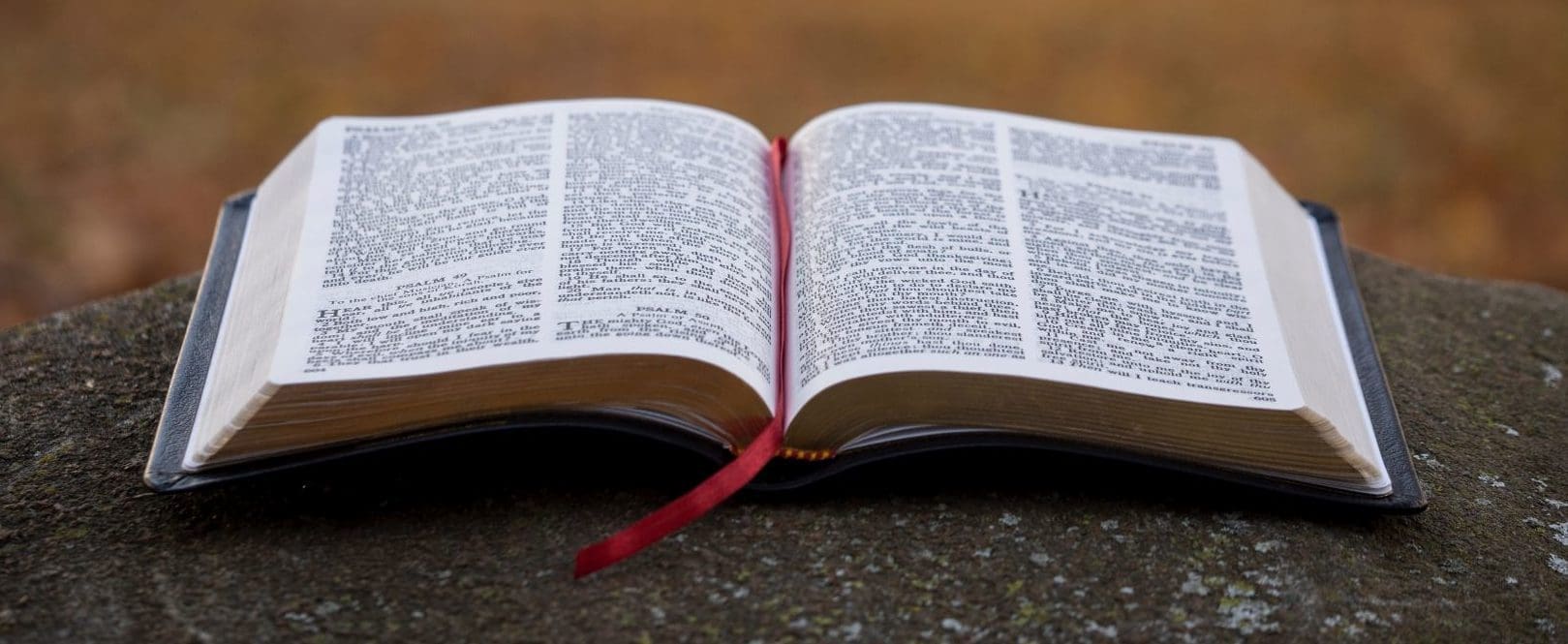 10 consejos para comprender las parábolas de Jesús - Abre la Biblia